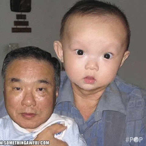 Something Awful GIFs - Get the best GIF on GIPHY