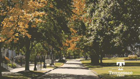 Tennessee-tech GIFs - Get the best GIF on GIPHY