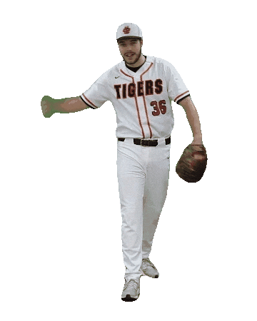 Baseball GIFs on GIPHY - Be Animated