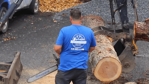 Chain Saw Logging GIF by JC Property Professionals - Find & Share on GIPHY
