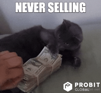 Never Sell GIFs - Get the best GIF on GIPHY