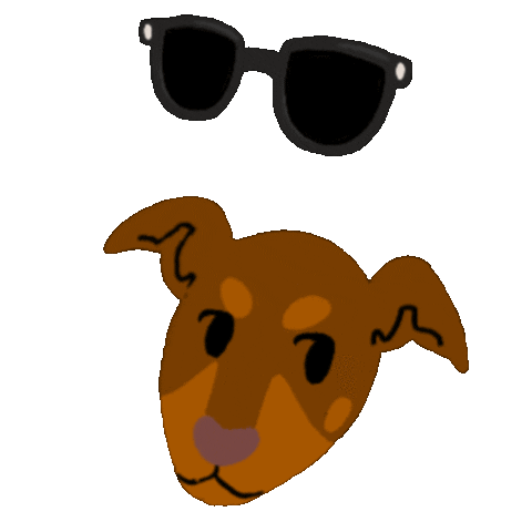 Deal With It Gif Dog