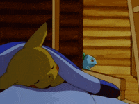 Pikachu Sleeping Gif