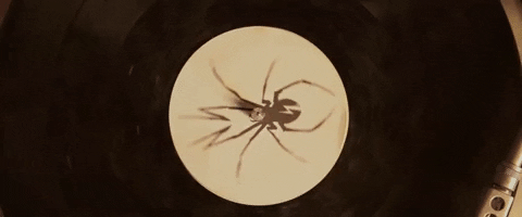 Killjoy-spider GIFs - Get the best GIF on GIPHY