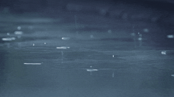 Cinemagraphs GIFs on GIPHY - Be Animated