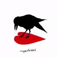 Into Break Piecesgif