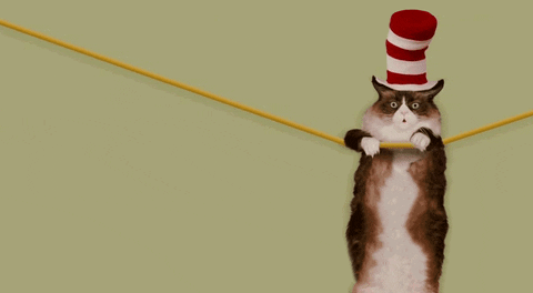 Hang In There Baby Cat In The Hat