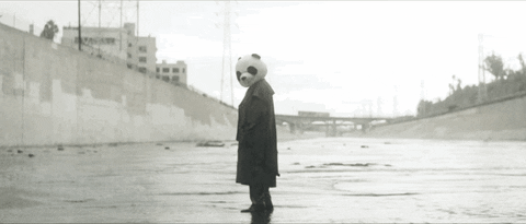 Creepy Panda Bear GIFs - Get the best GIF on GIPHY