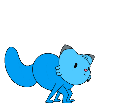 Transparent Cat Gif