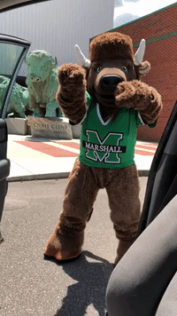 Happy We Are Marshall GIF by Marshall University - Find & Share on GIPHY