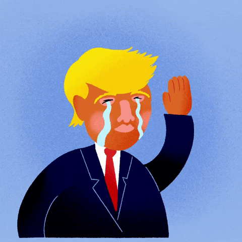Donald Trump Goodbye GIF by Jef Caine - Find & Share on GIPHY