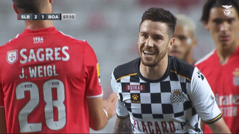 Weigl GIFs - Get the best GIF on GIPHY