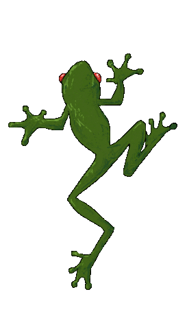 Frog Jumping Gif