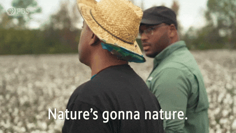 Ginecologia-natural GIFs - Get the best GIF on GIPHY