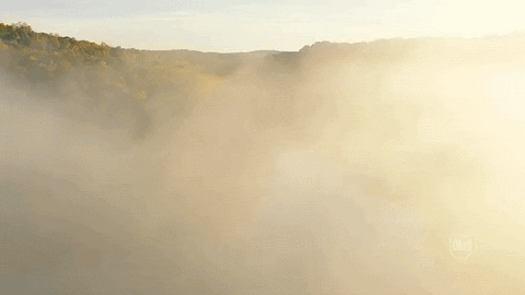 Animated Fog Gif