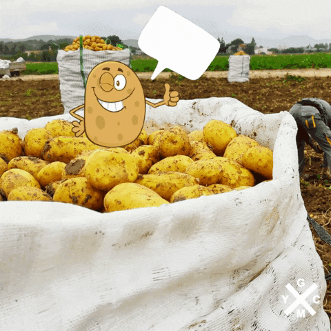 Patatas GIF by Graocompany - Find & Share on GIPHY