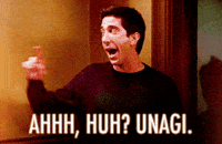 Unagi Ross Gif