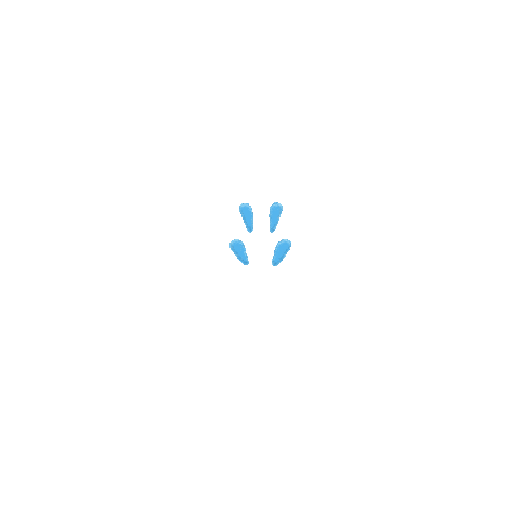 Water Splashing Sticker by subtlestrokes for iOS & Android | GIPHY