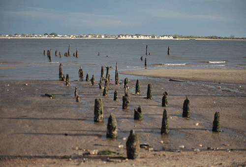 Dead Horse Bay GIFs - Get the best GIF on GIPHY