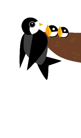 BirdLife Oesterreich GIFs on GIPHY - Be Animated