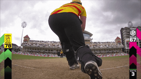 Cricket GIF by The Hundred - Find & Share on GIPHY