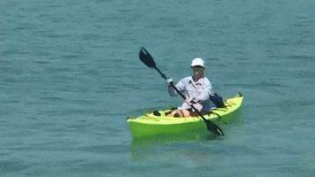 Florida GIFs - Find & Share on GIPHY