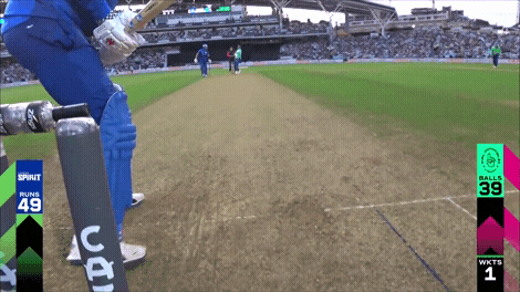 Cricket GIF by The Hundred - Find & Share on GIPHY