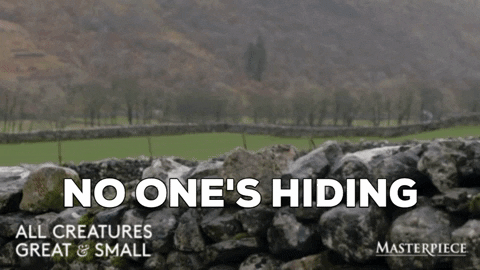 Hide All GIFs - Get the best GIF on GIPHY