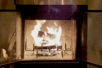 Yule Log GIFs - Find & Share on GIPHY