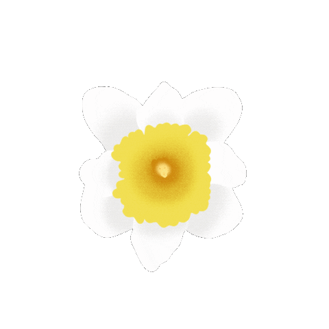 Flower Spring Sticker for iOS & Android | GIPHY
