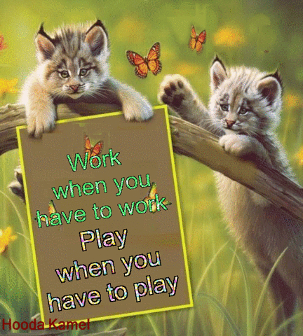 - Find & Share on GIPHY