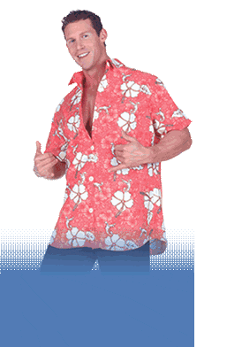 I Am A Programmer Stickers - Find & Share on GIPHY