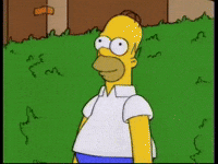 Homer Simpson Meme GIFs - Find & Share on GIPHY