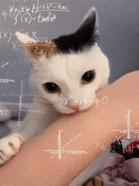 Math Confused Meme GIFs - Find & Share on GIPHY