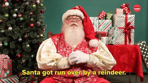 Santa Got Run Over By a Reindeer - GIPHY Clips