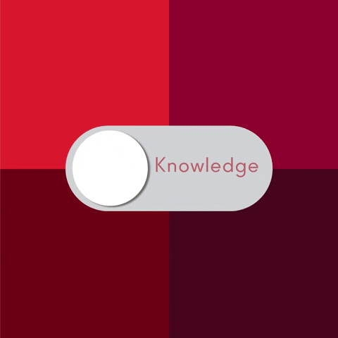 Knowledge On GIFs - Find & Share on GIPHY
