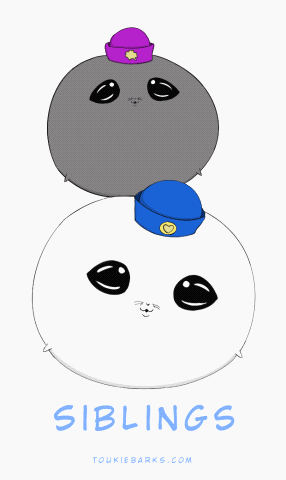 Touki Toussaint GIFs - Find & Share on GIPHY