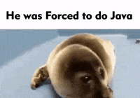 Software Engineer Meme GIFs - Find & Share on GIPHY