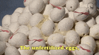 sign language walk on eggshells GIF by Sign with Robert
