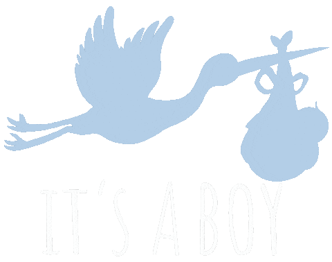 Baby Boy Stork Sticker - Find & Share on GIPHY