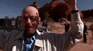 Walter White Screaming In Car GIFs - Find & Share on GIPHY