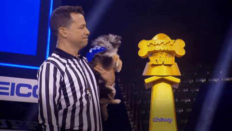 Congratulations Team Fluff - GIPHY Clips