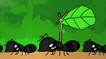Ants Clips - Find & Share on GIPHY