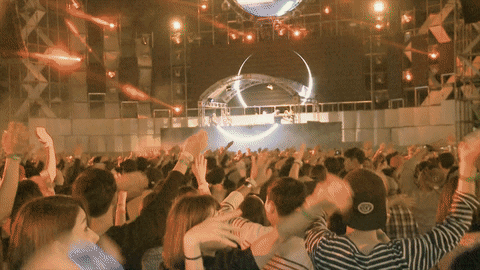 GIF by Disco Donnie Presents