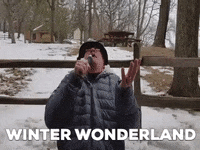 Winter Wonderland GIFs - Find & Share on GIPHY