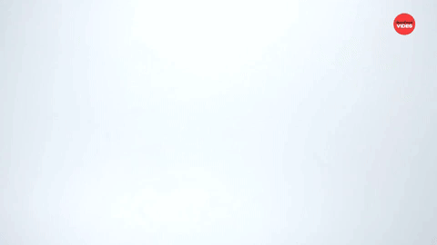 Awkward Turtle Clips - Find & Share on GIPHY