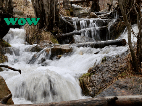 Fluid-flow GIFs - Get the best GIF on GIPHY