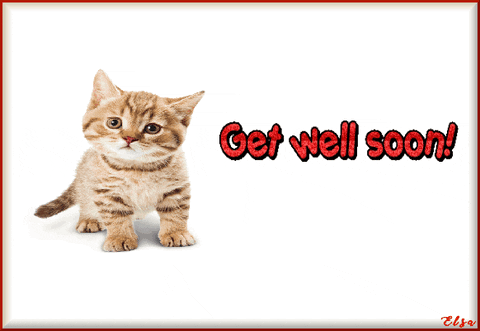 Get Well Soon Animated Card GIF - Find & Share on GIPHY