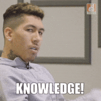 Knowledge GIFs - Find & Share on GIPHY
