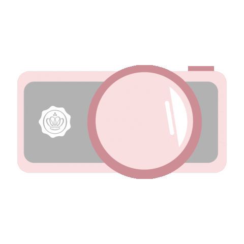 Camera Lense Stickers - Find & Share on GIPHY